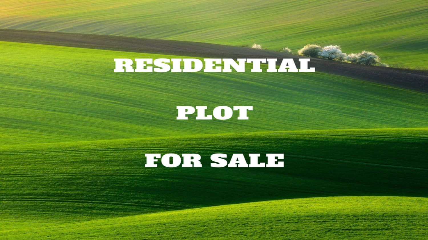 Yamuna Expressway Authority Plots Regal Way to Build Your Home ...